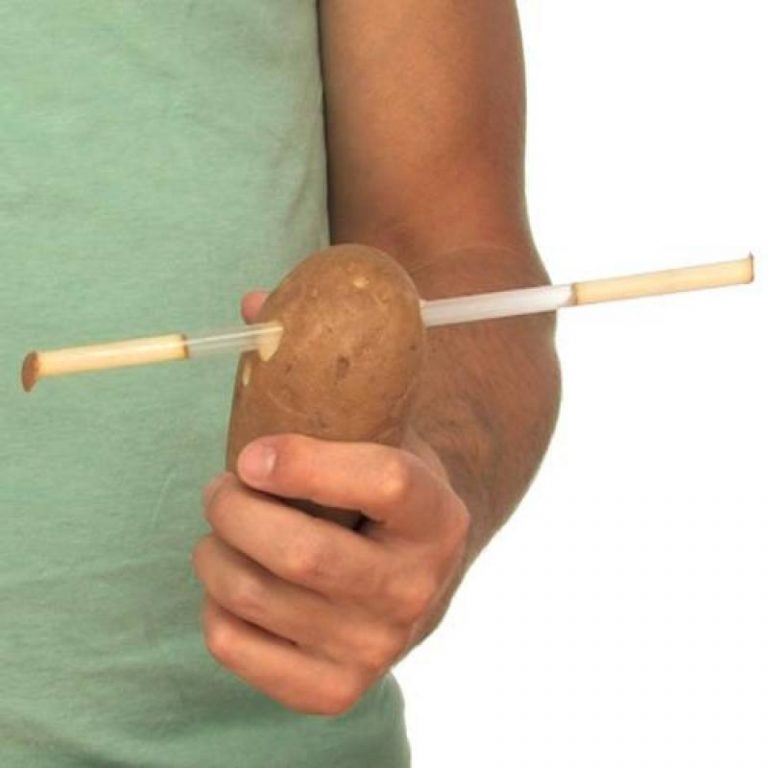 52 Simple Science Experiments For Kids