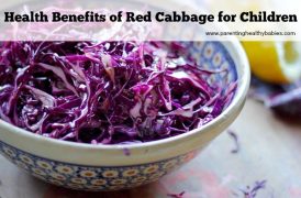 Health Benefits of Red Cabbage for Children
