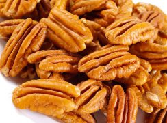 Can I Give Pecan Nut to My Baby? | Health Benefits of Pecan for Babies