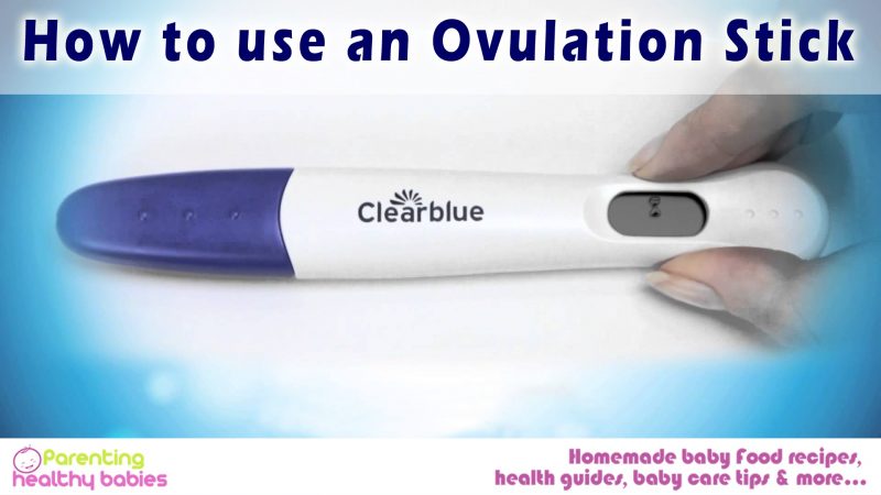 All You Need to Know About Fetal Pole | Parentinghealthybabies.com