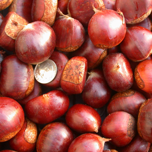 11 health benefits of Water Chestnuts in your baby's diet
