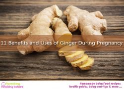 11 Benefits and Uses of Ginger During Pregnancy