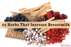 11 Must Have Herbs that Increase Breast Milk
