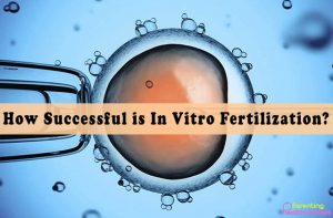 In Vitro Fertilization: Success Rate, Cost, Treatment and Risk