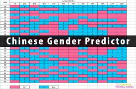 Chinese Gender Predictor : How Accurate Is It?