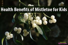 11 Amazing Benefits of Mistletoe in Your Child’s Diet