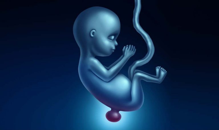Causes, Symptoms and Treatment for Spina Bifida