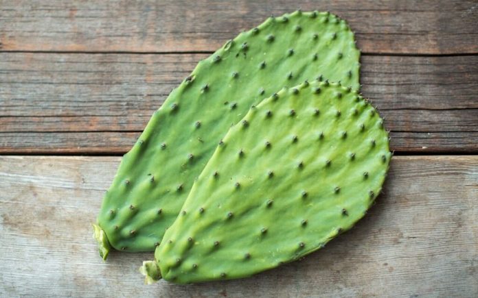11 Amazing Benefits of Cactus Juice in Your Diet | Parentinghealthybabies