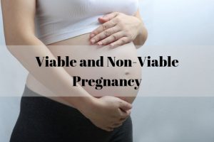 Difference Between Viable and Non-Viable Pregnancy