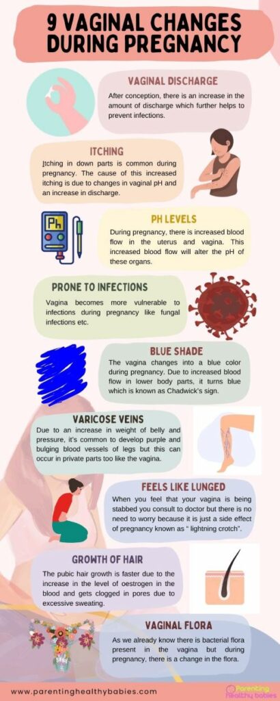 9 Vaginal Changes During Pregnancy | Parentinghealthybabies.com