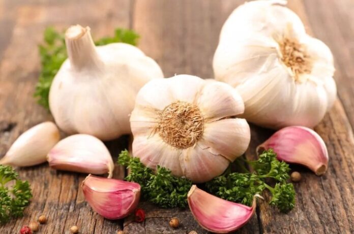 11 Amazing Health Benefits of Garlic for Kids
